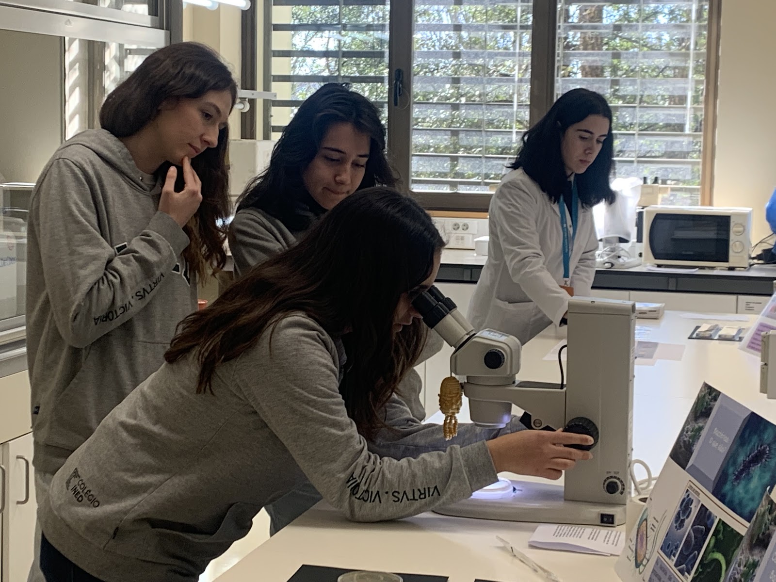 Dias Abertos – DBIO – Departamento de Biologia